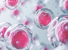 Cells - Cyagen OriCell